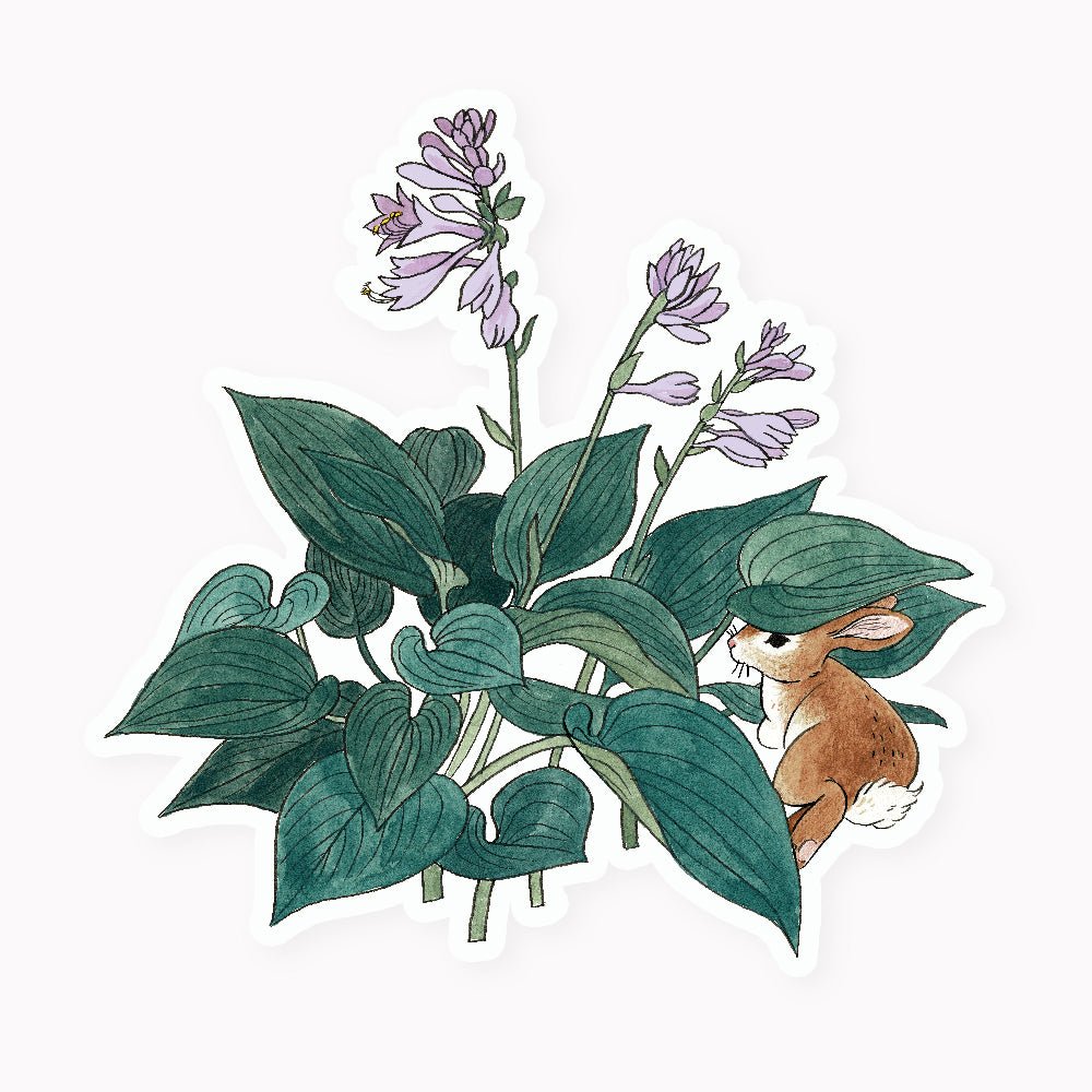 BUNNY & HOSTA | CLEAR VINYL STICKER – Botanica Paper Co.®